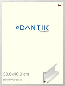 DANTIK rámeček 30x40 | ALU profil 6035 Dýha bílá (Plexi Čiré)