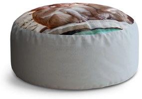Sablio Taburet Circle Opičky: 40x50 cm