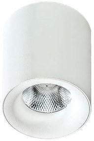 LED bodové světlo Mane bílé
