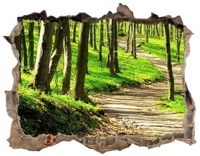 Wallmuralia Nálepka fototapeta 3D výhled Stezka v lese 95x64 cm