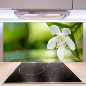 Kuchyňský skleněný panel Květ Listy 100x50 cm