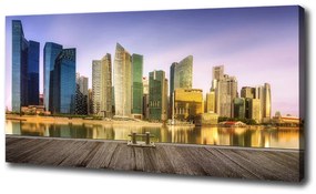 Wallmuralia Foto obraz na plátně Singapur 100x50