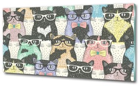 Wallmuralia Foto-obraz na skle Kočky v brýlích 100x50