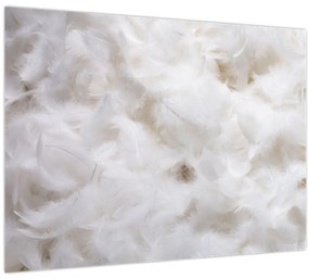 Obraz - Bílé peří (70x50 cm)