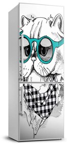 Wallmuralia Nálepka fototapeta lednička Kočka brýle 60x180 cm
