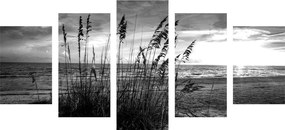 5-dílný obraz západ slunce na pláži v černobílém provedení Varianta: 200x100