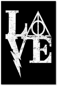 Gario Obraz na plátně Harry Potter, láska - Dr.Monekers Rozměry: 40 x 60 cm