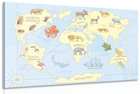 Obraz mapa světa se zvířaty - 120x80 cm