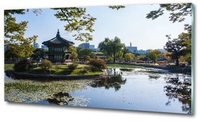 Wallmuralia Foto obraz sklo tvrzené Jižní Korea 100x50
