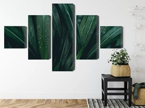 Vícedílný obraz Tmavě Zelené Listy Na Makro Stupnici Nedostatek Nedostatek Plátno Canvas 150x90