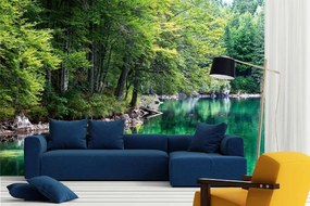 DIMEX | Samolepicí vliesová fototapeta na zeď Jezero a les MA-5-3063 | 375 x 250 cm | zelená, modrá, bílá