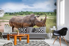 DIMEX | Samolepicí vliesová fototapeta na zeď Procházející se nosorožec MA-5-0455 | 375 x 250 cm | zelená, modrá, hnědá