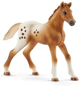 Schleich 42433 Appalosští koně a tréninkové příslušenství, 7 ks