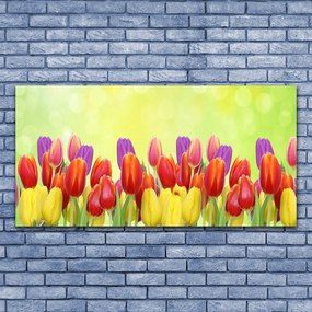 akrylový obraz Tulipány Květiny Rostlina 120x60 cm