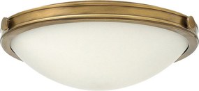 Elstead Stropní vintage svítidlo Hinkley COLLIER 3x E27 Mosaz 48 cm