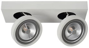 Lucide 09920/20/31 - LED Stmívatelné bodové svítidlo NENAD AR111 2xG53/10W/230V