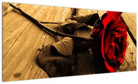 Obraz růže (100x40cm)