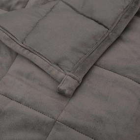 Zátěžová deka šedá 200 x 220 cm 13 kg textil,  3154841