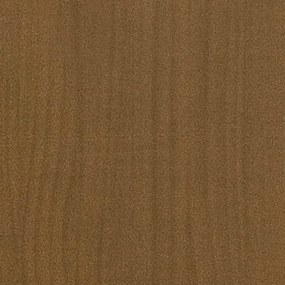 Petromila Knihovna / dělicí stěna medově hnědá 40x30x103,5 cm borovice