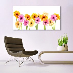 akrylový obraz Barevné Květiny Gerbery 120x60 cm