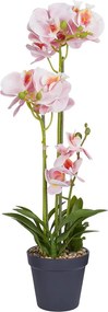 Butlers FLORISTA Orchidej v květináči 51 cm - sv. meruňková