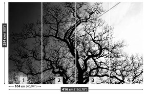 Fototapeta strom 104x70