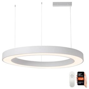 Immax Neo Immax NEO 07214L - LED Stmívatelný lustr PASTEL LED/68W/230V bílá 95cm Tuya + DO IM1328