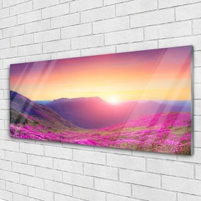 Plexisklo-obraz Slunce Hory Louka Příroda 125x50 cm