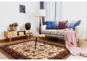 Vlněný kusový koberec Tari krémový bordó 170x235cm