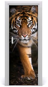 Fototapeta samolepící na dveře tygr 85x205 cm