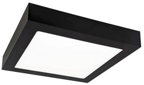 LED Stropní svítidlo FENIX LED/12W/230V 3800K 17 cm