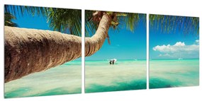Obraz čistého moře s palmou (90x30 cm)