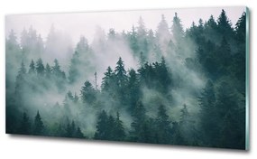 Wallmuralia Fotoobraz na skle Mlha nad lesem 100x50