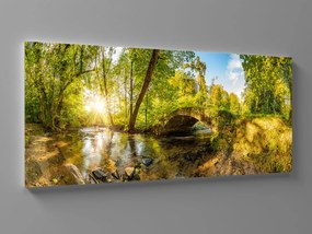 Liox Obraz říční most Rozměr: 60 x 25 cm
