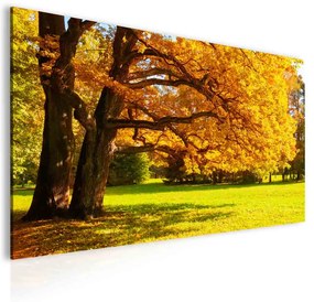 Malvis ® Obraz podzimní atmosféra Velikost (šířka x výška): 90x60 cm