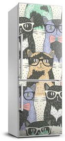 Wallmuralia Nálepka fototapeta lednička Kočky v brýlích 60x180 cm