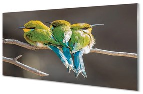 Obraz na skle Ptáci na větvi 100x50 cm