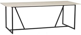 OnaDnes -20% Hoorns Světle šedý dřevěný jídelní stůl Frax 220 x 90 cm