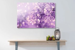 Obraz fialový květ šeříku Varianta: 90x60