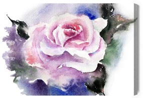 Obraz Krásná Růže Malovaná Akvarelem Nedostatek Nedostatek Plátno Canvas 100x70