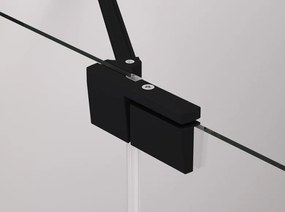 Sanswiss CADURA CA31C jednokřídlé sprchové dveře 110 cm Šířka: 1100 mm, Profil: Černá, Sklo: Hladké čiré
