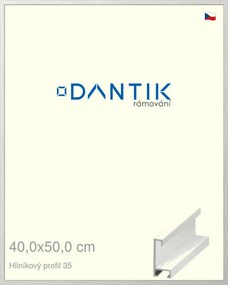 DANTIK rámeček 40x50 | ALU profil 6035 Dýha bílá (Plexi Čiré)