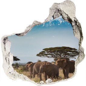 Wallmuralia Díra 3D fototapeta Sloni Kilimandžáro 75x75 cm