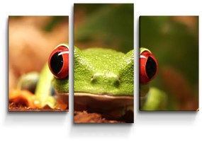 Sablio Obraz - 3-dílný Zelená žába - 75x50 cm