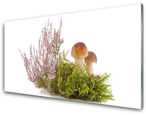 Skleněné obklady do kuchyně Houby Rostlina Příroda 100x50 cm