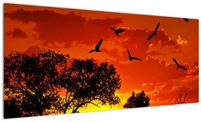 Obraz zapadajícího slunce s ptáky (100x40cm)