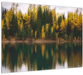 Obraz lesního jezera (70x50 cm)