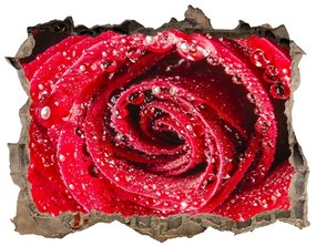 Wallmuralia Samolepící díra Kapky vody na růži 95x64 cm
