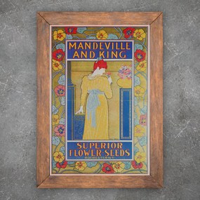 Plakát na zeď Mandeville a King Superior Flower Semena
