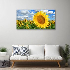 Obraz na plátně Slunečnice Květ Rostlina 120x60 cm